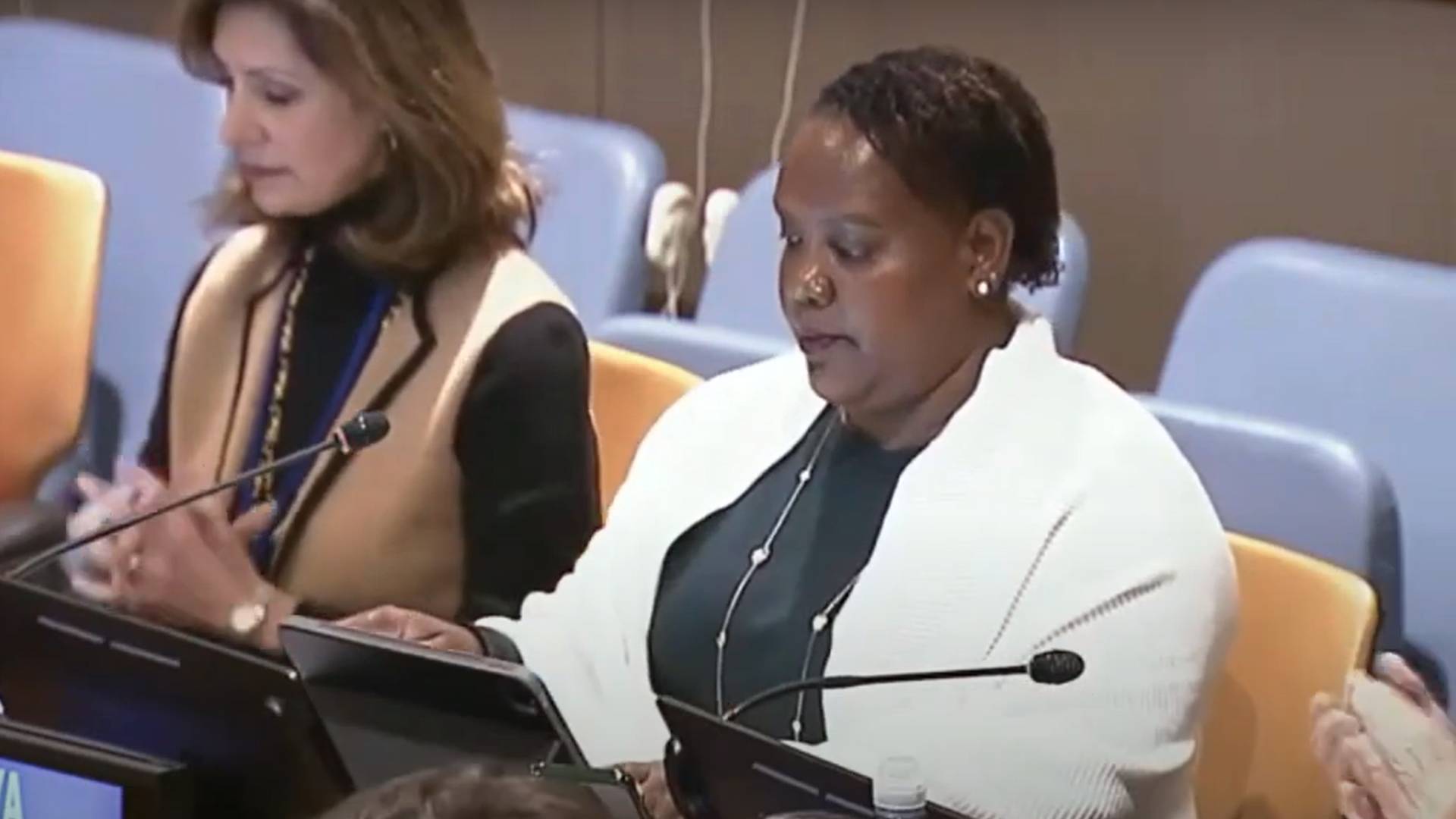 Initial Remarks by Kenya Government - 2024 IFFD Briefing | Family ...
